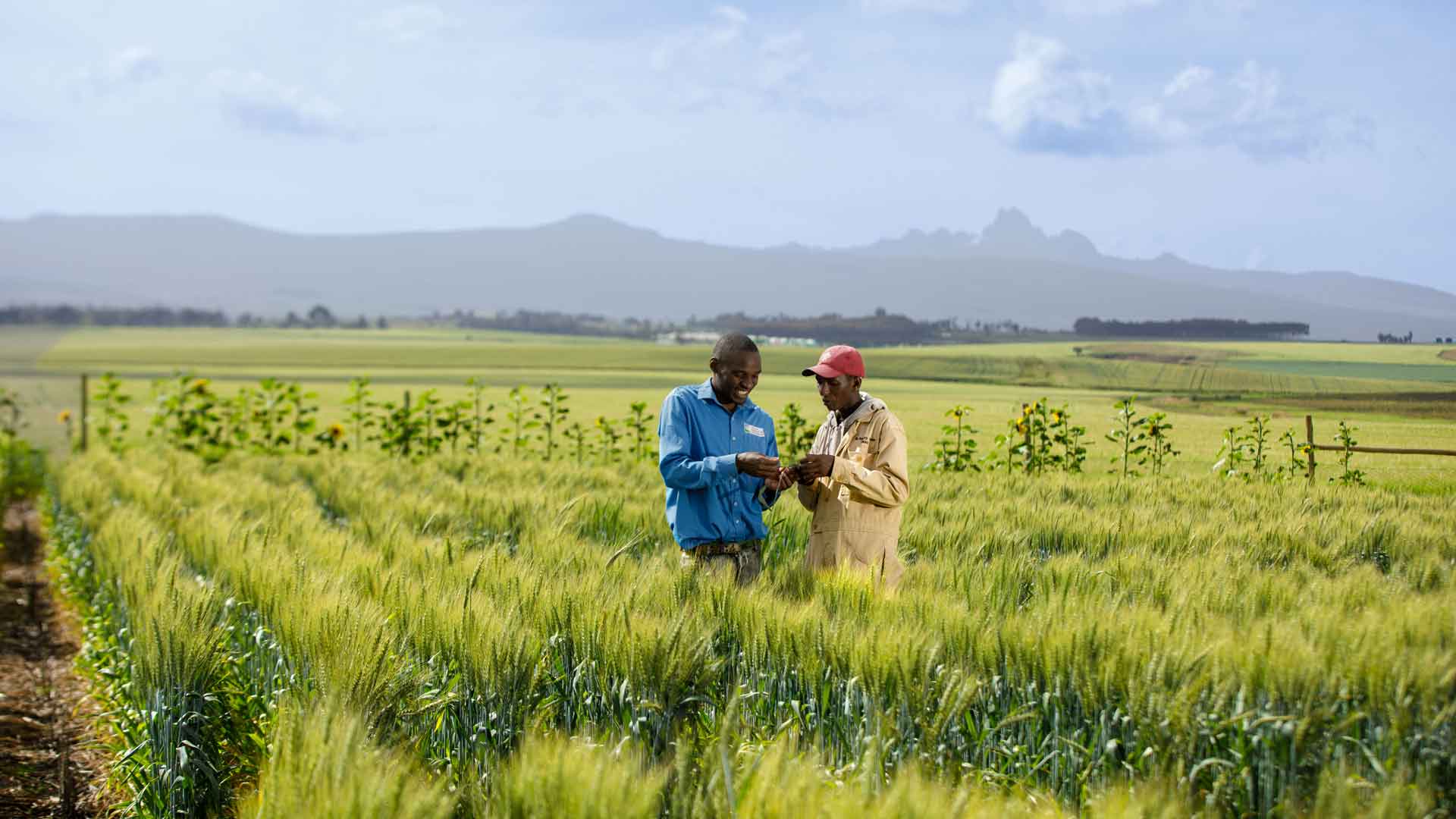 About Us – Agventure